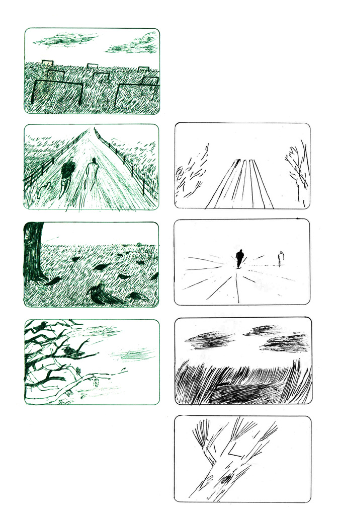 Ruminations and Illuminations - Rachel Lillie