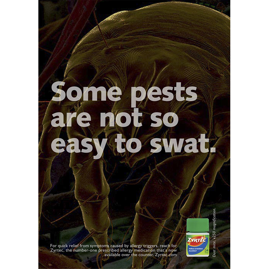 Advertising - Connie Dominey : Art Director