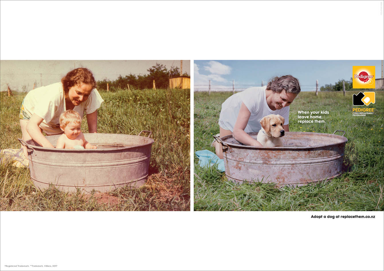 Pedigree® Child Replacement Programme #3 Most Awarded Campaign in ... - Andre Sallowicz art director
