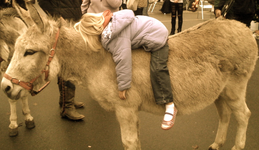 festive markets - saslrhodes.com