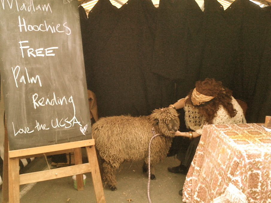 festive markets - saslrhodes.com