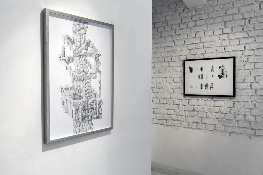 Any-Structure-Whatever / 2017 - Bora Baskan