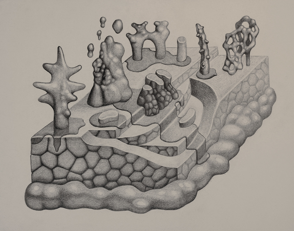 Any-Structure-Whatever / 2017 - Bora Baskan