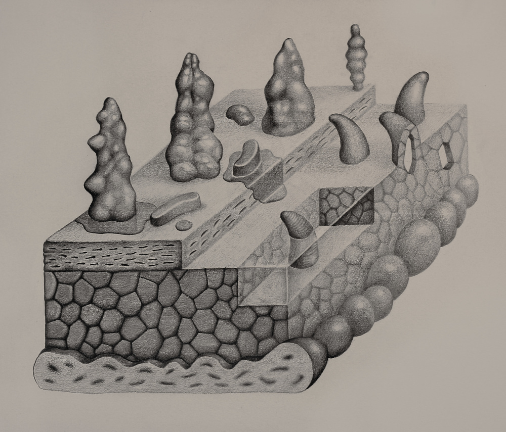 Any-Structure-Whatever / 2017 - Bora Baskan