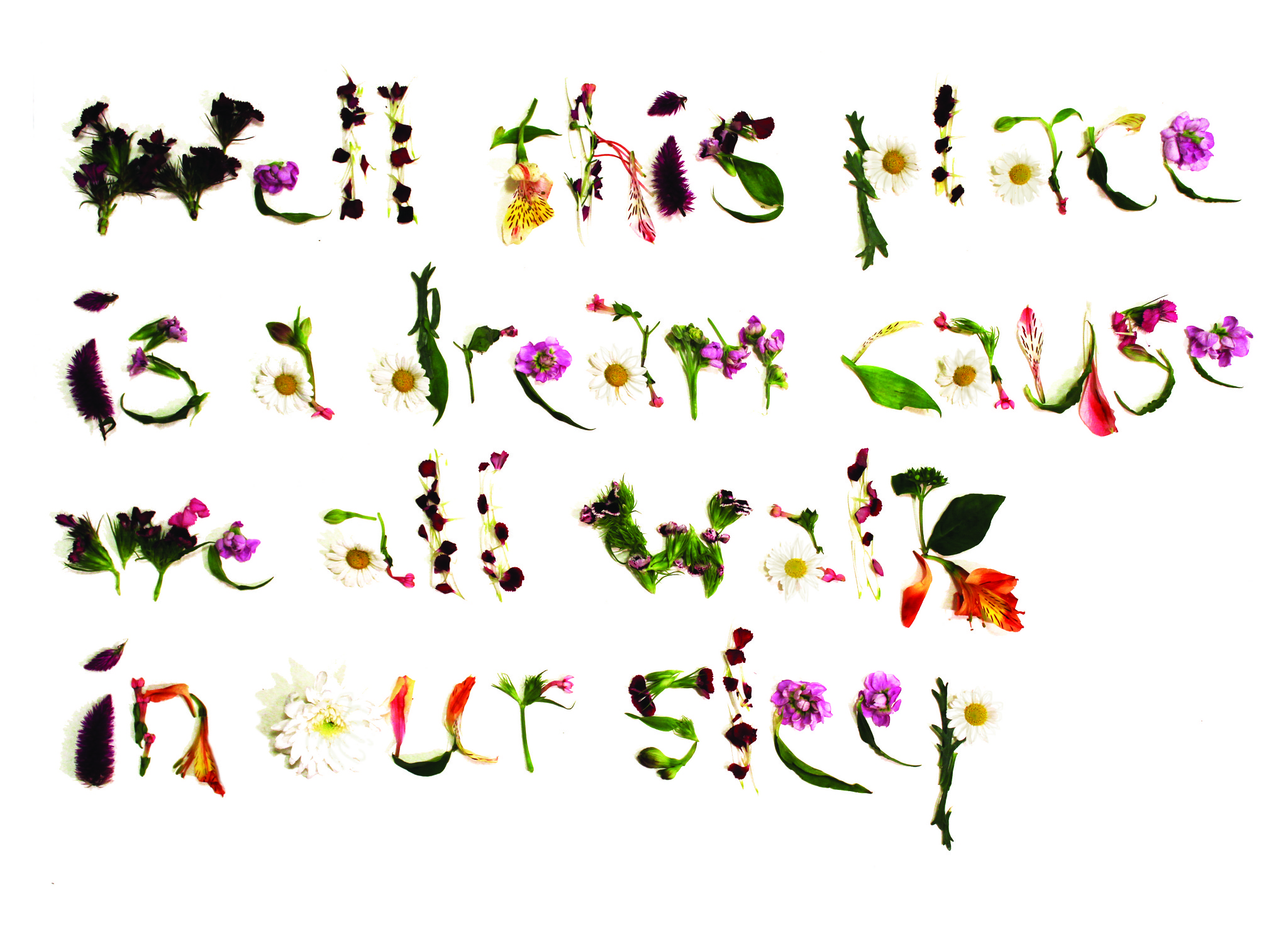 I Written In Flowers Font