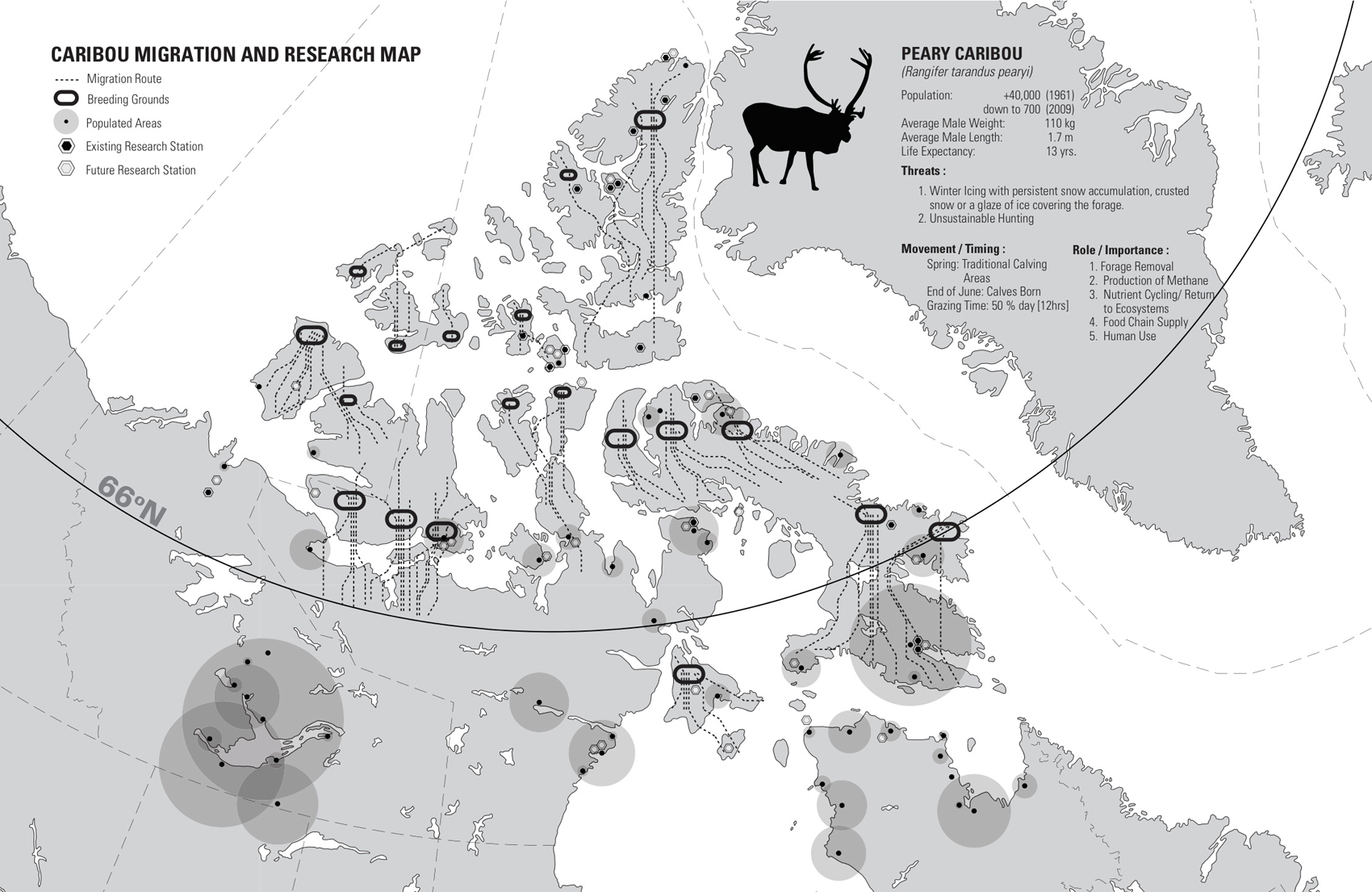 Caribou Migration
