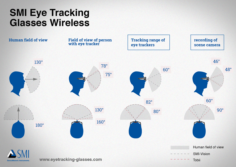 SMI Vision Infographic Visuals - karolinka