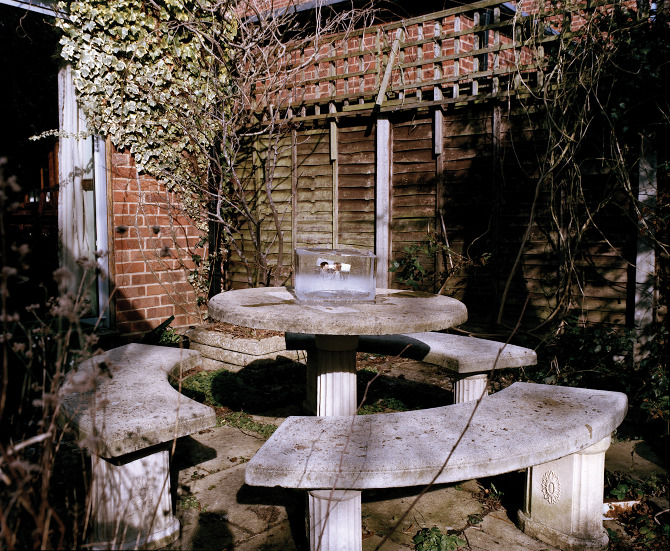 Christian Fowler Photography