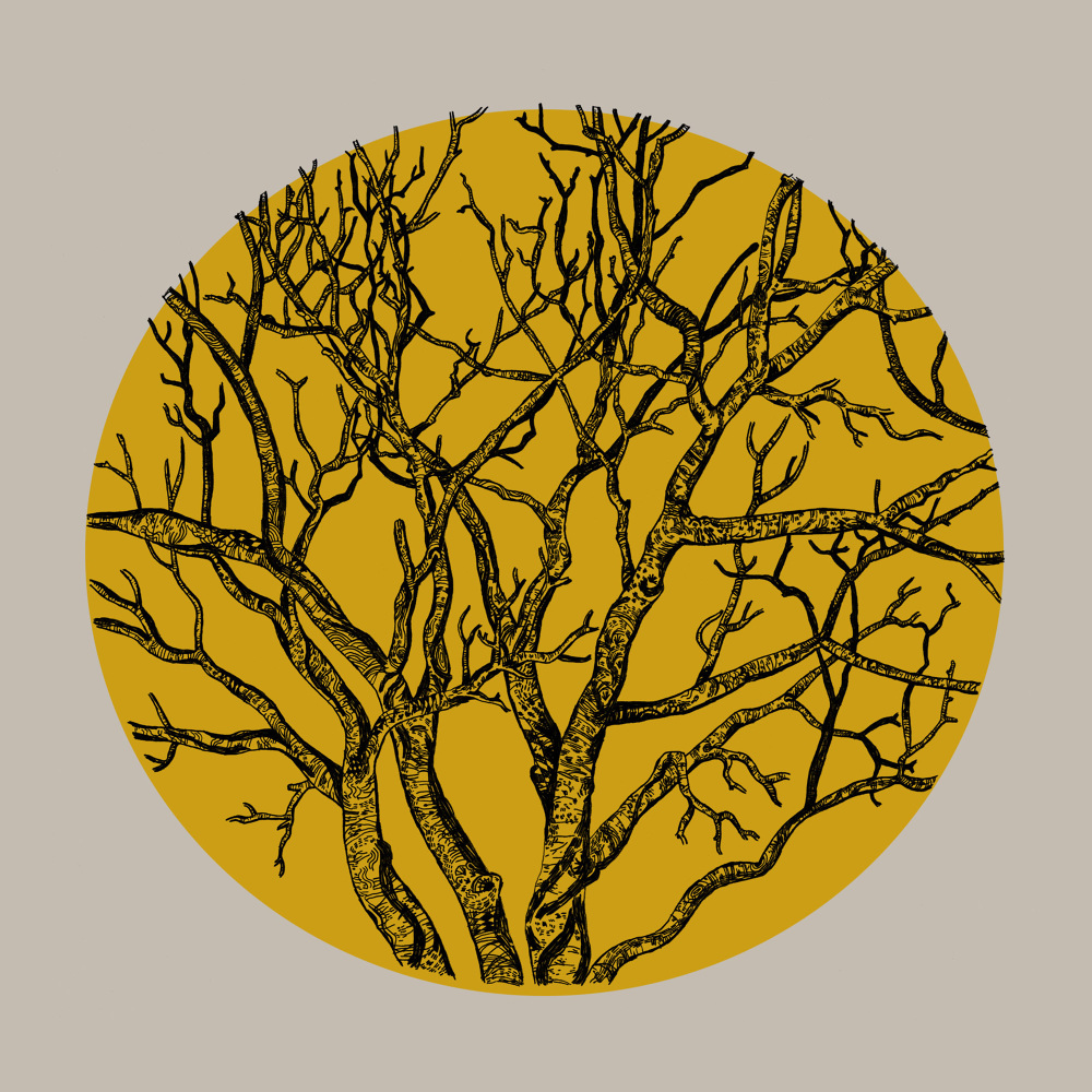 Decorative, Circle Branches - Hannah Pos Illustration