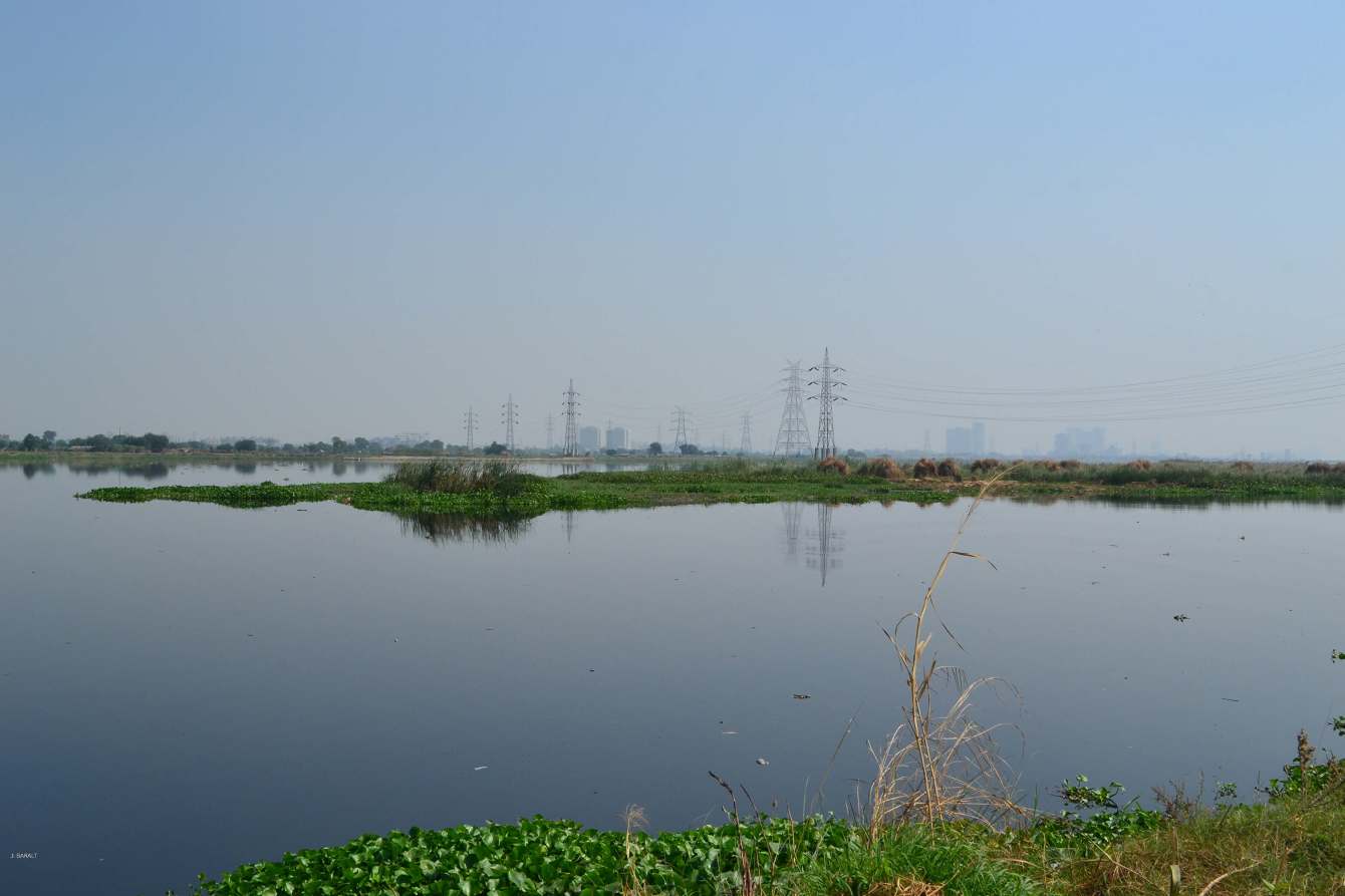 The Yamuna River Project - Megan Suau