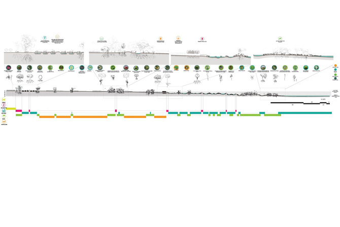 The Yamuna River Project - Megan Suau