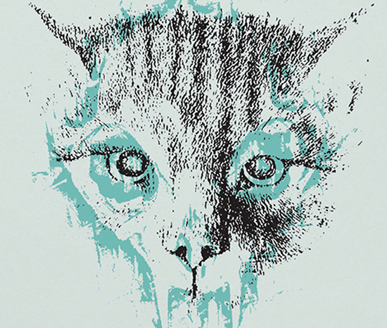 Cd Cover Design, Illustration - monokat
