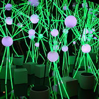 Portfolio of David Crumley