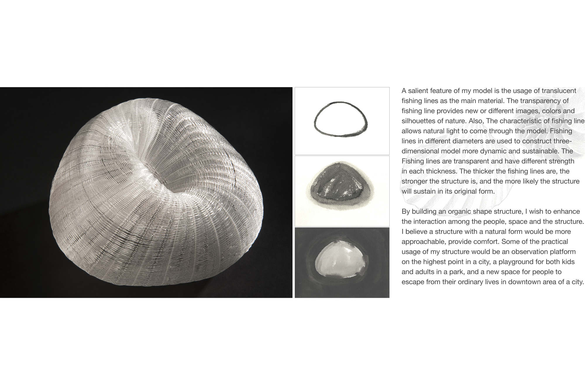 URBAN SHELL - Sui Park