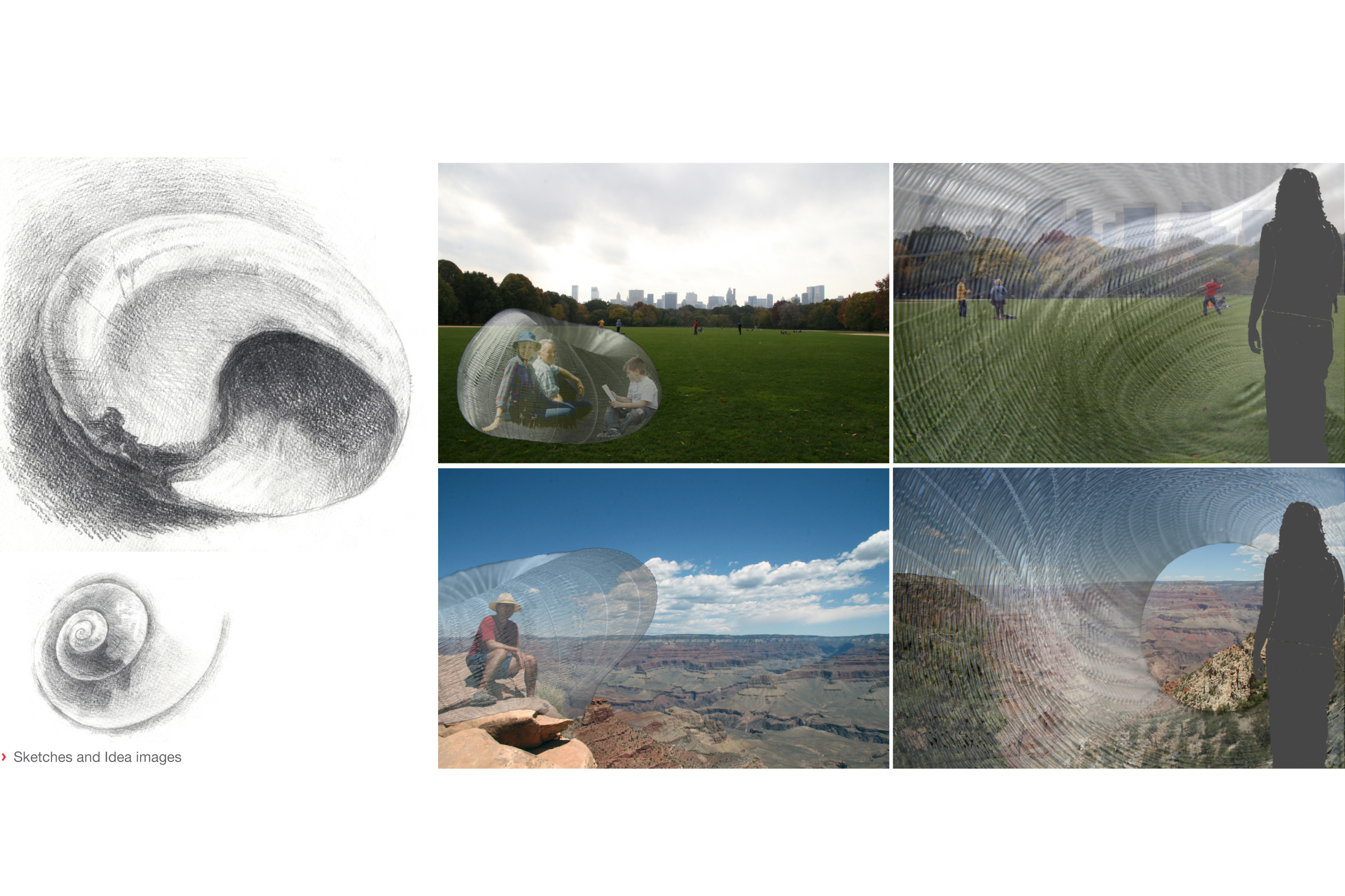 URBAN SHELL - Sui Park