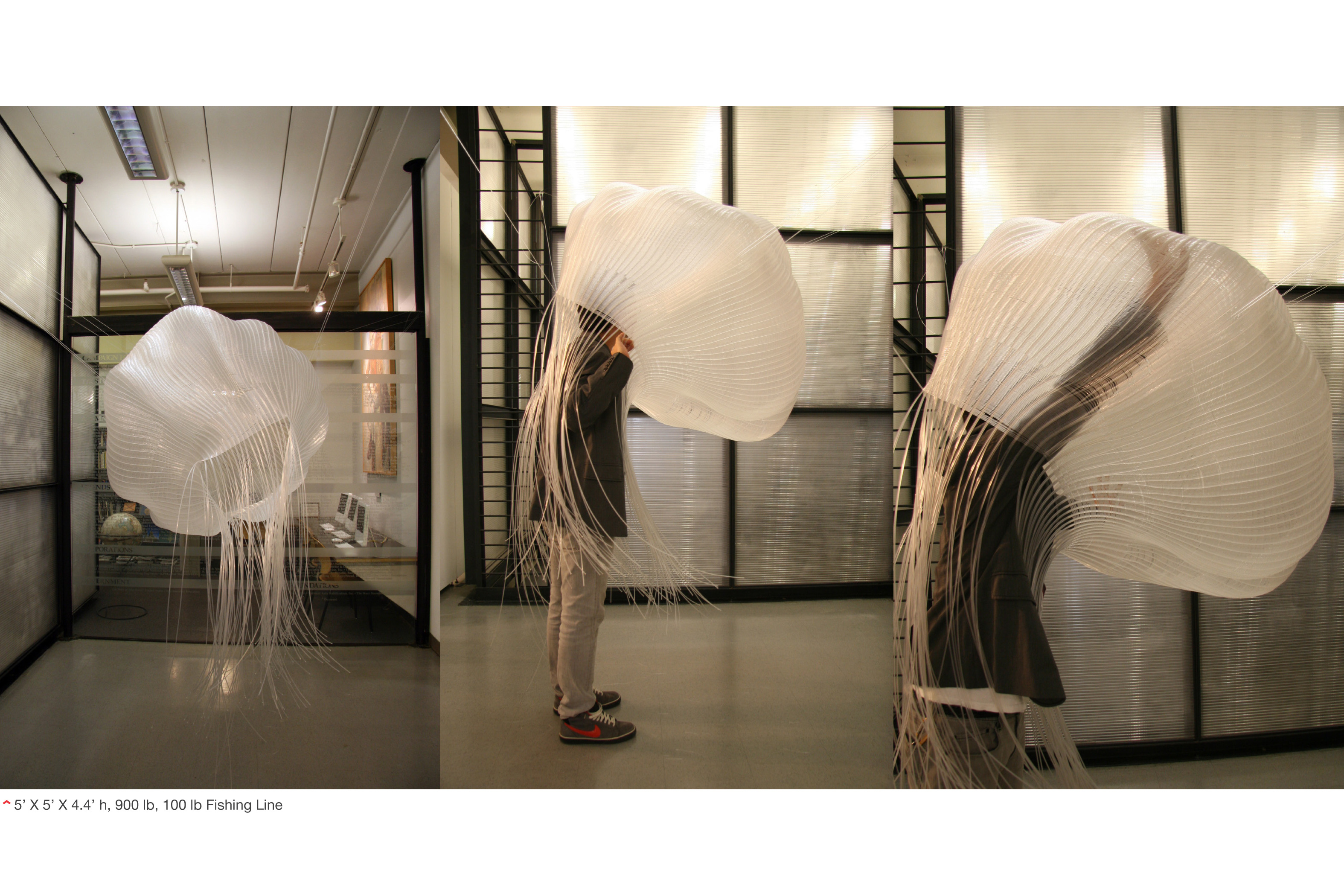 URBAN SHELL - Sui Park