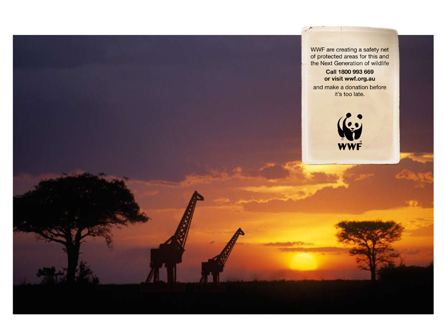 WWF PRINT ADS - sandyruddcreative.com
