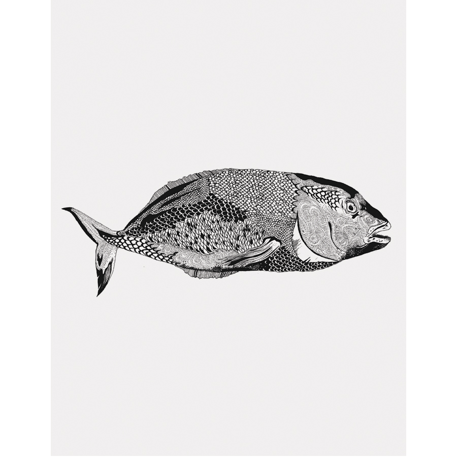 Fishes of the Andaman Sea - Chrysa Koukoura Illustration