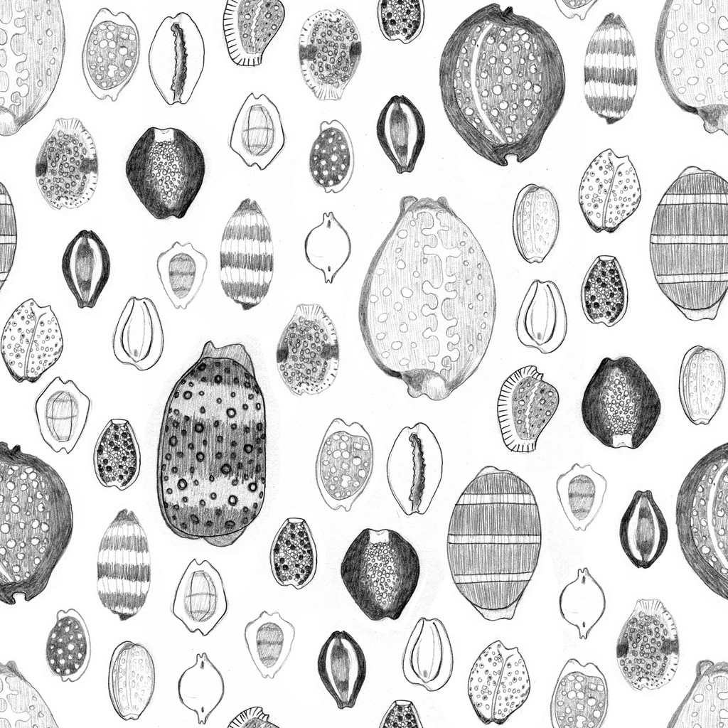 Graphite Patterns - a is for anika