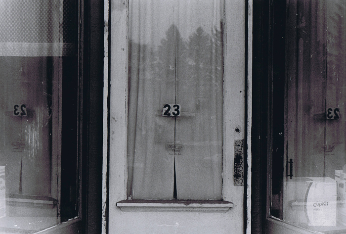 Photography - Rachel Gorman Designs