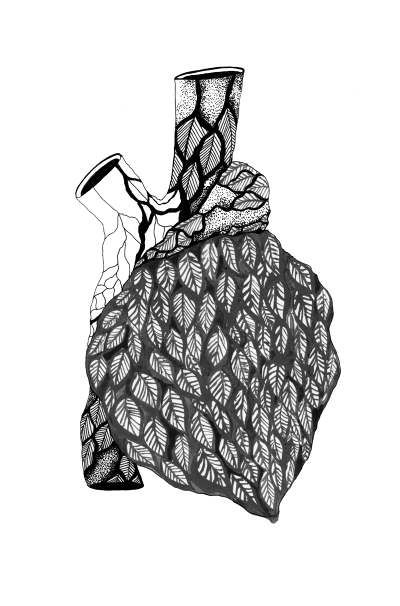 Organ[ic]s - Laurissa Jones