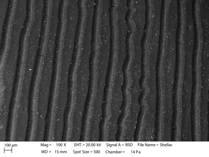 Applejack 45s - Matthew Sia