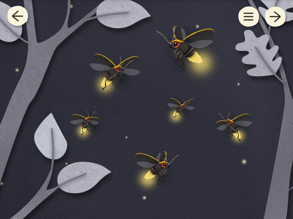 The Little Bug - Jackie Littman :: Design Portfolio