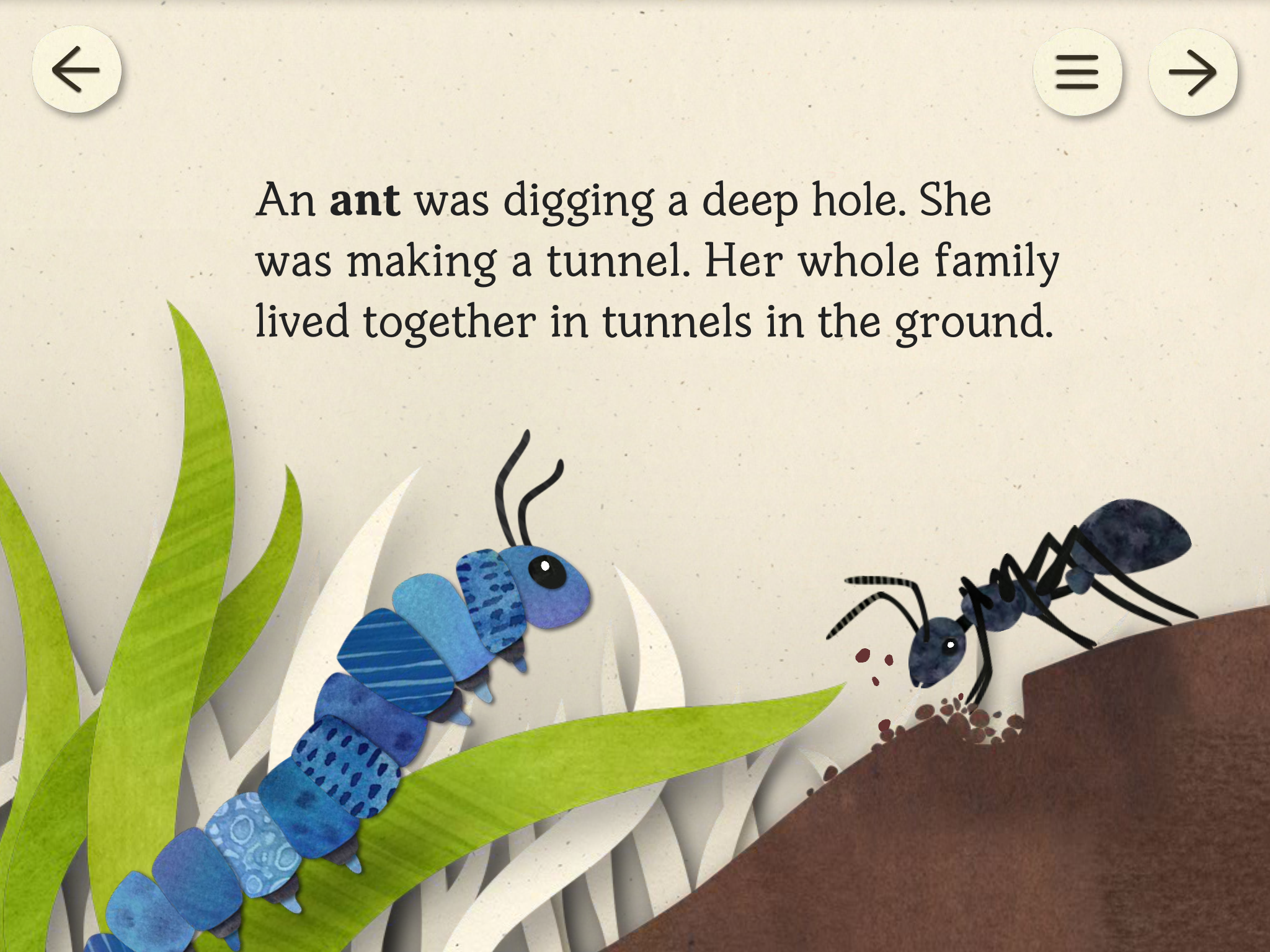 The Little Bug - Jackie Littman :: Design Portfolio
