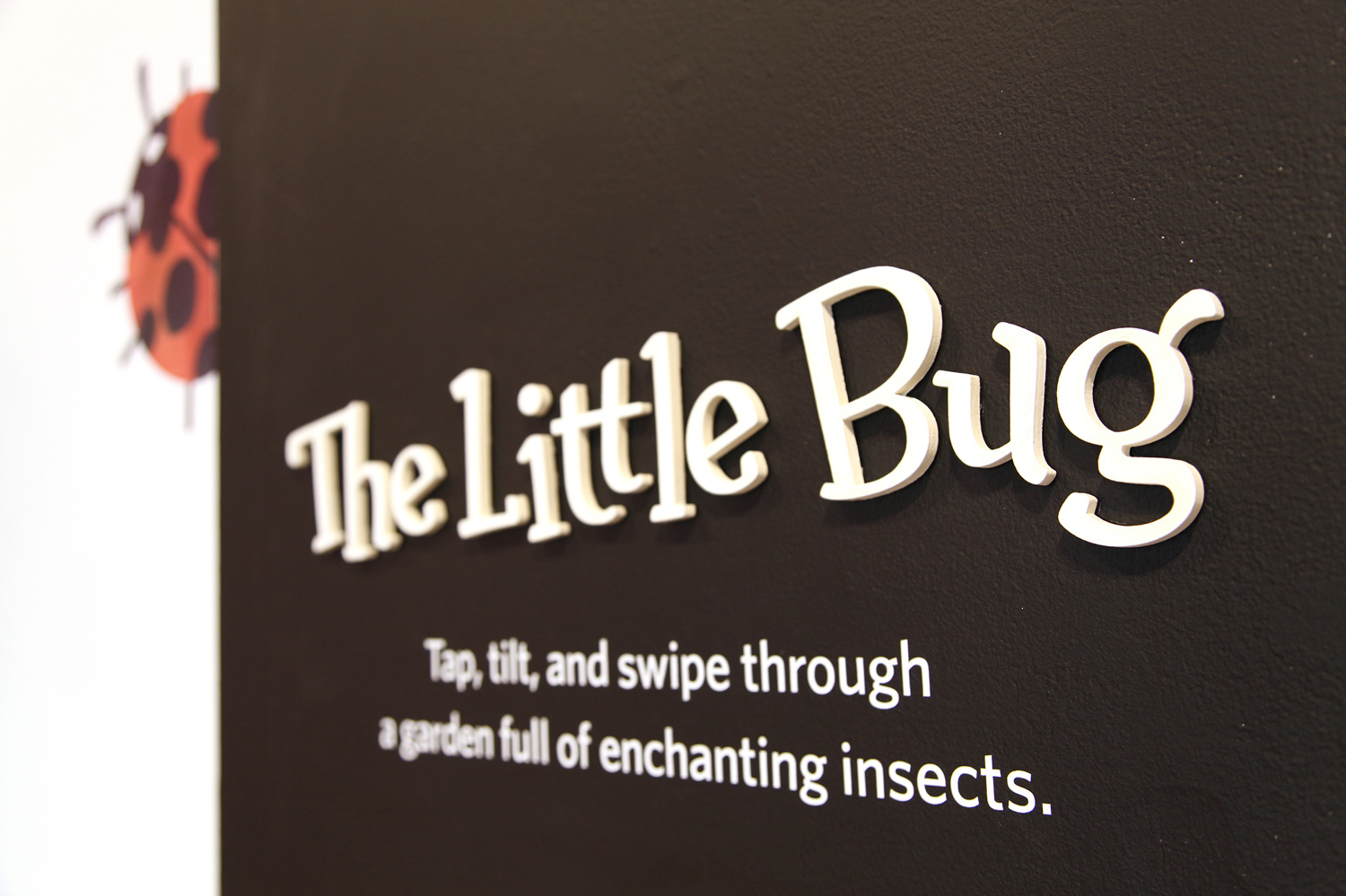 The Little Bug - Jackie Littman :: Design Portfolio