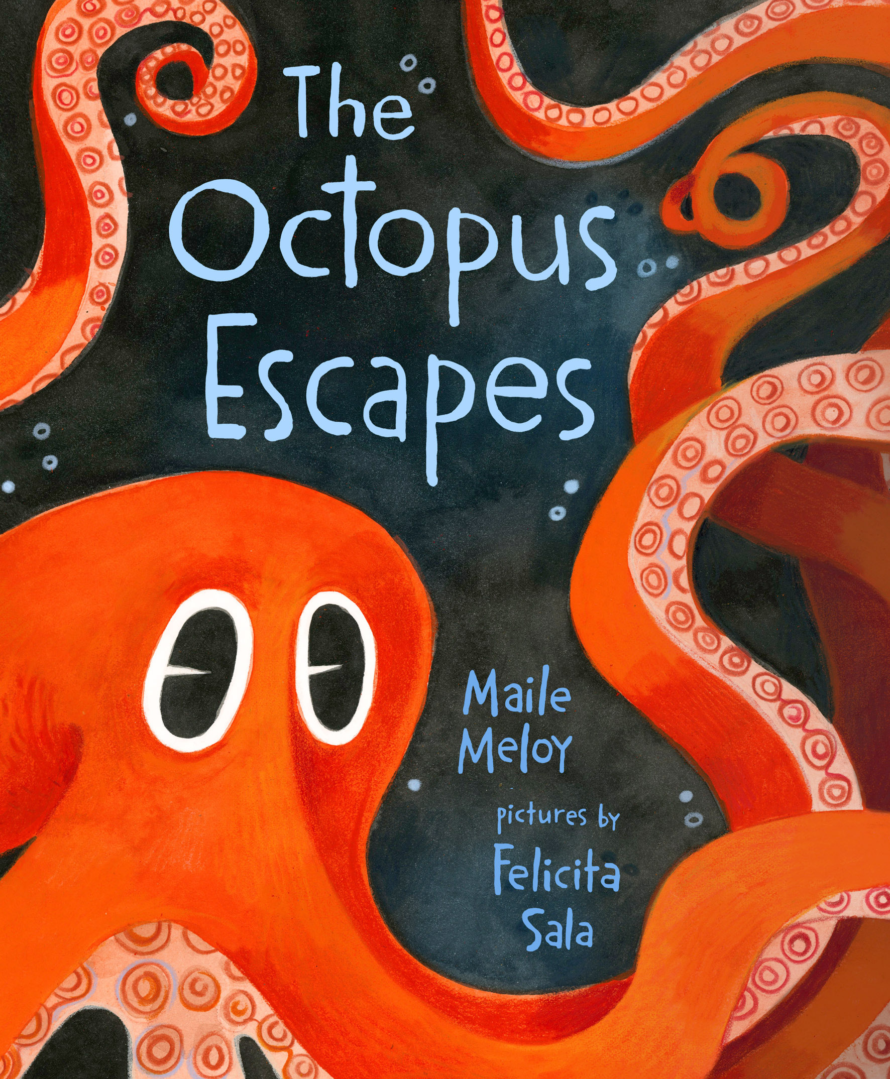 THE OCTOPUS ESCAPES, 2021 - felicita sala