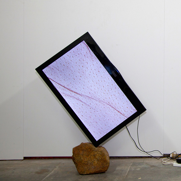 Kate Beckingham & Lucas Davidson - conductorsproject