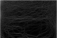 Kate Beckingham & Lucas Davidson - conductorsproject