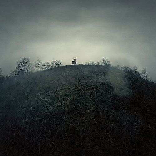 PORTFOLIO - Nicolas Bruno