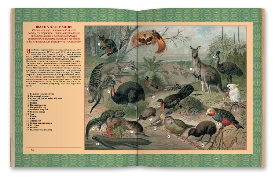 Book "Plants and Animals" - Evlena