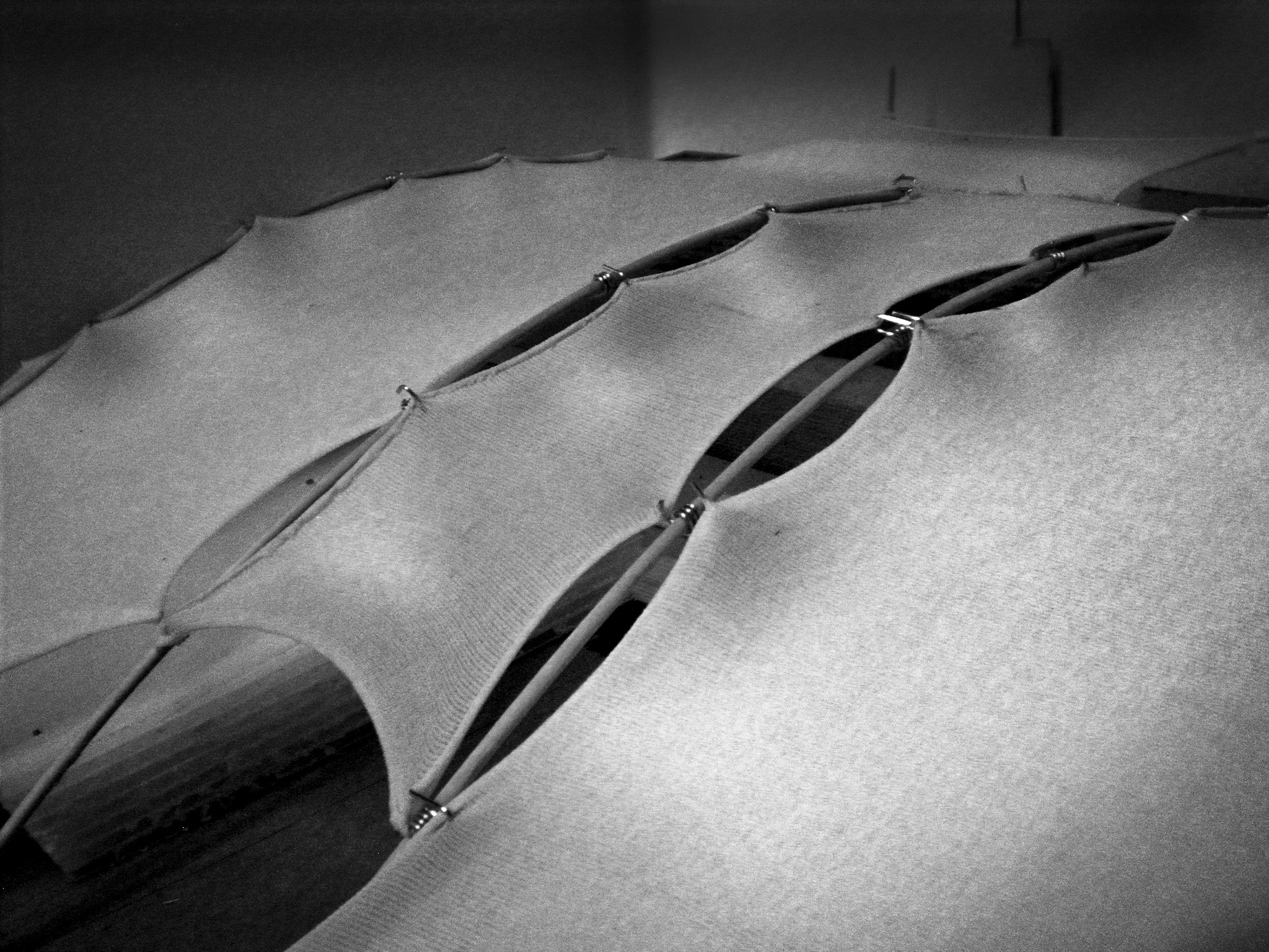 EUG - Alexander Dykes Architecture