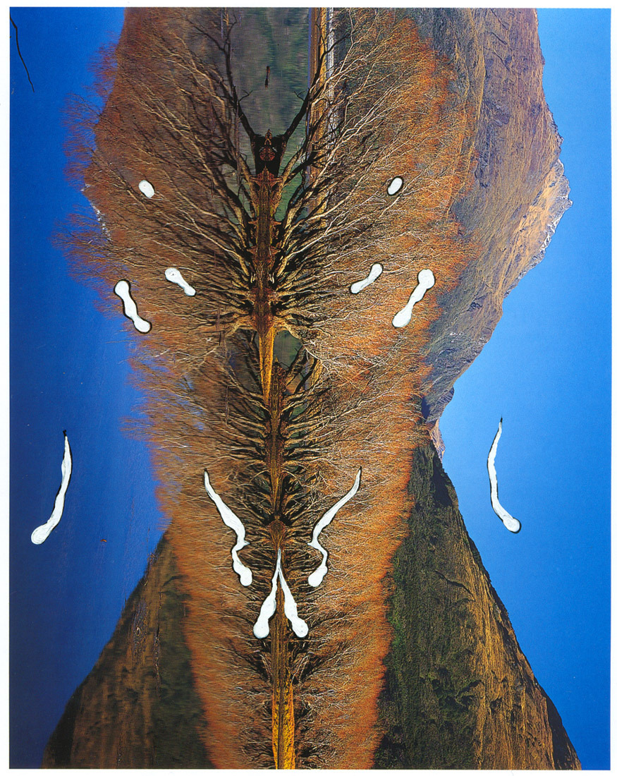 Gabriel Acevedo Velarde - galerialeme.com