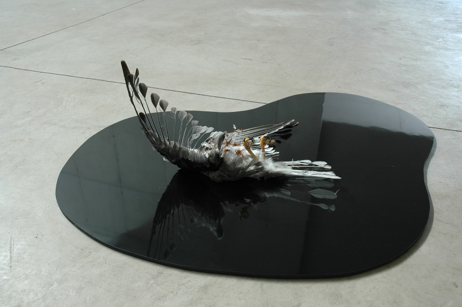 Neil Hamon - galerialeme.com