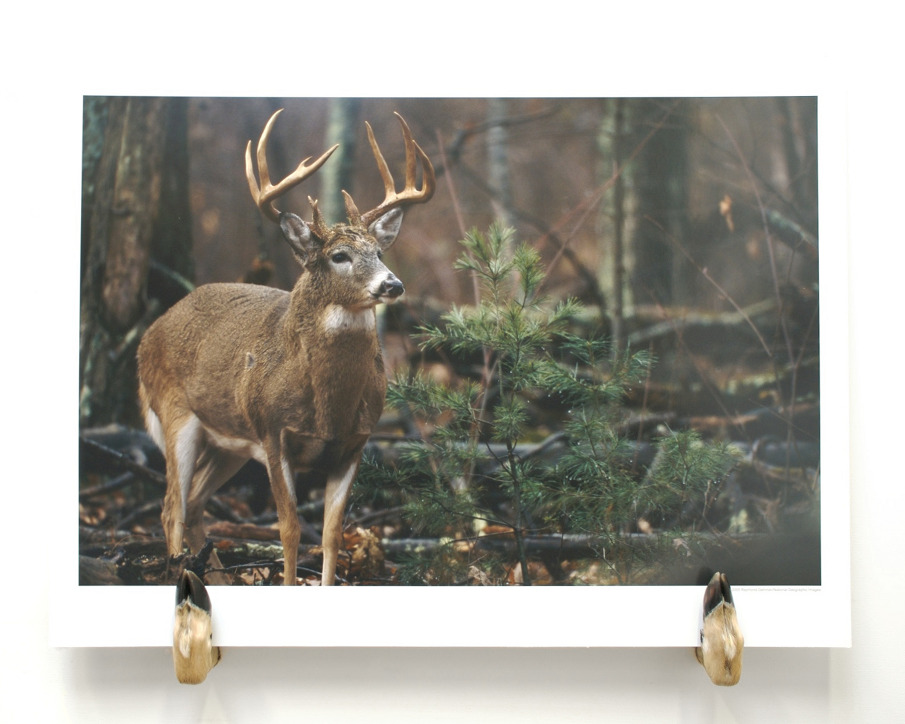 Neil Hamon - galerialeme.com