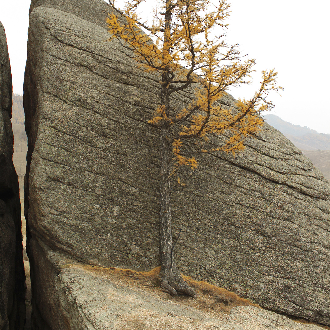 SELTENE ERDEN // Moskau - Sibirien - Ulan Bator - Kathrin-Tschirner.com