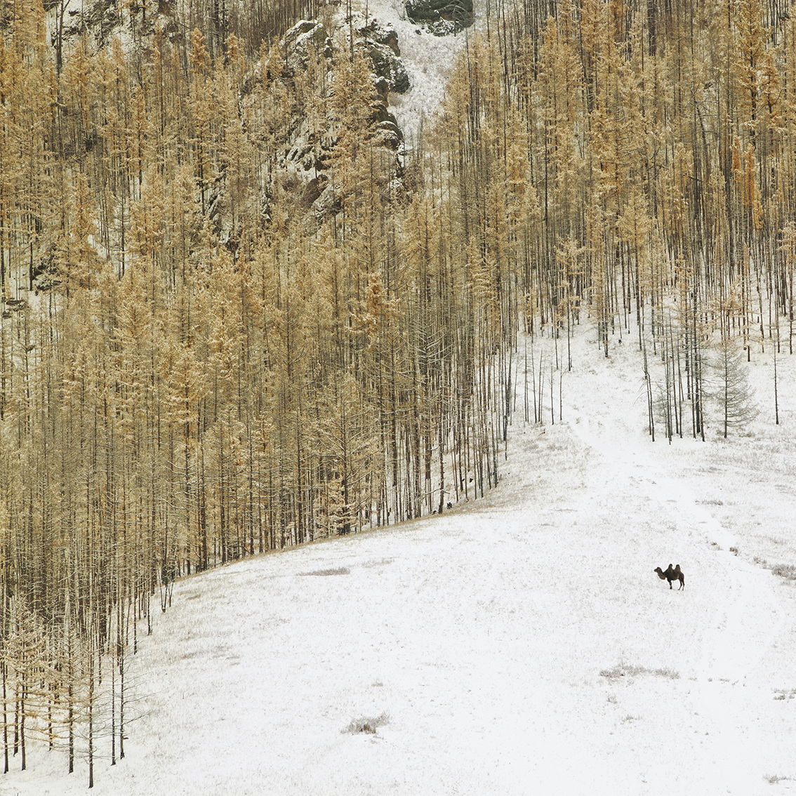 SELTENE ERDEN // Moskau - Sibirien - Ulan Bator - Kathrin-Tschirner.com