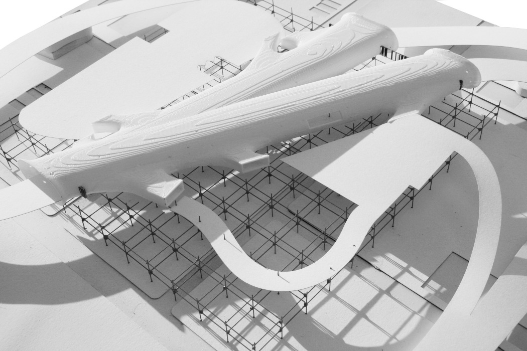 Border Knot - Ariel Poliner