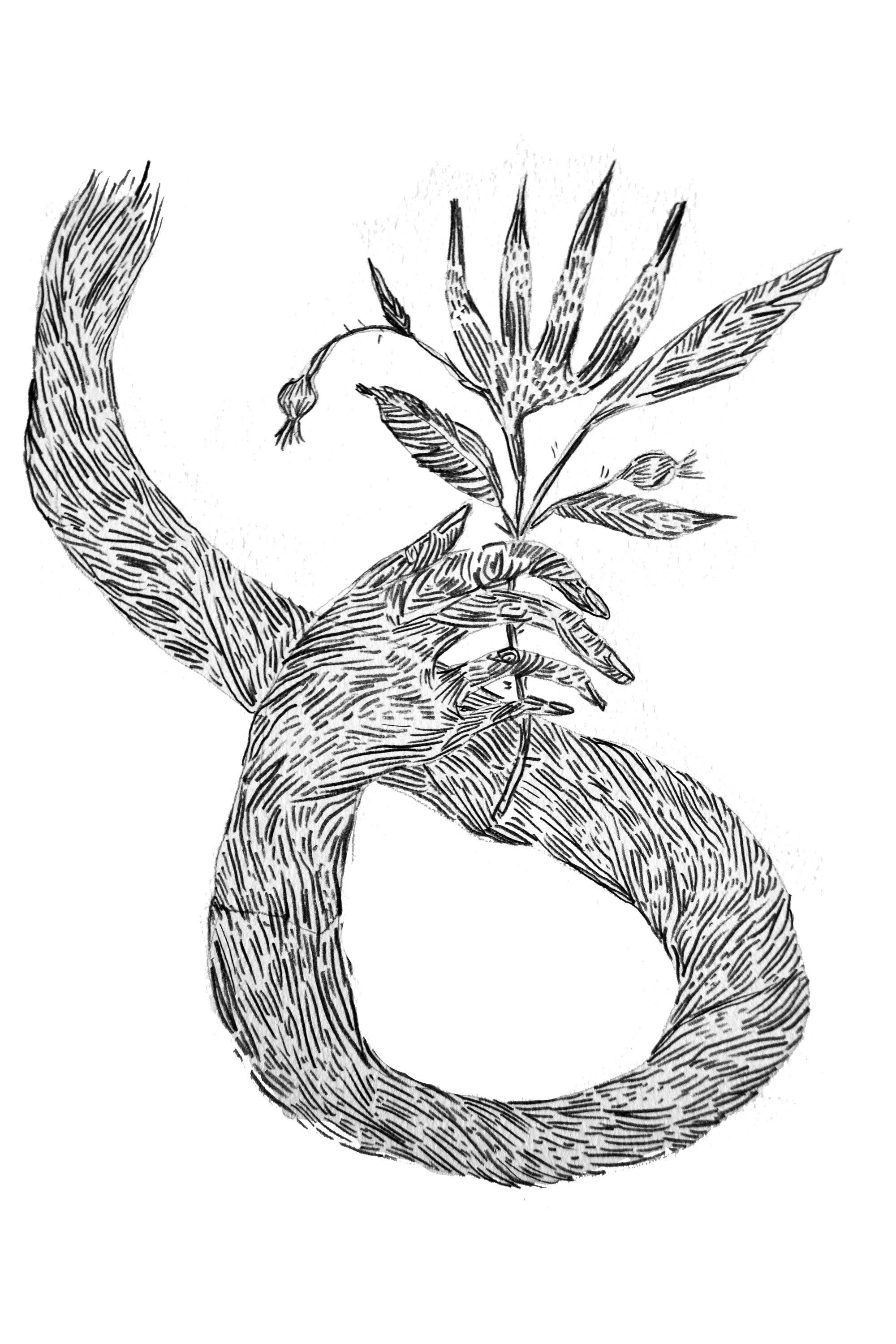 PEN+INK - pika blades