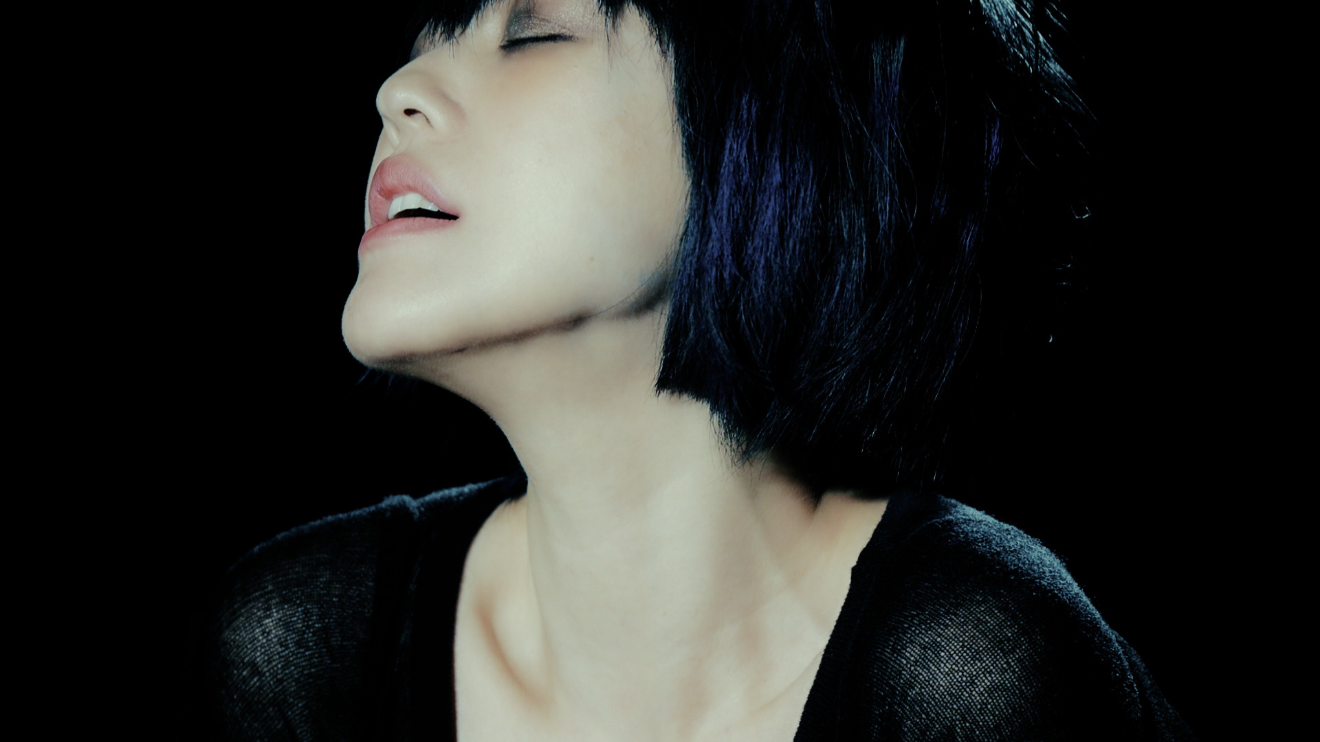 elephant Dee - BLUE - AikoloveLiu.com