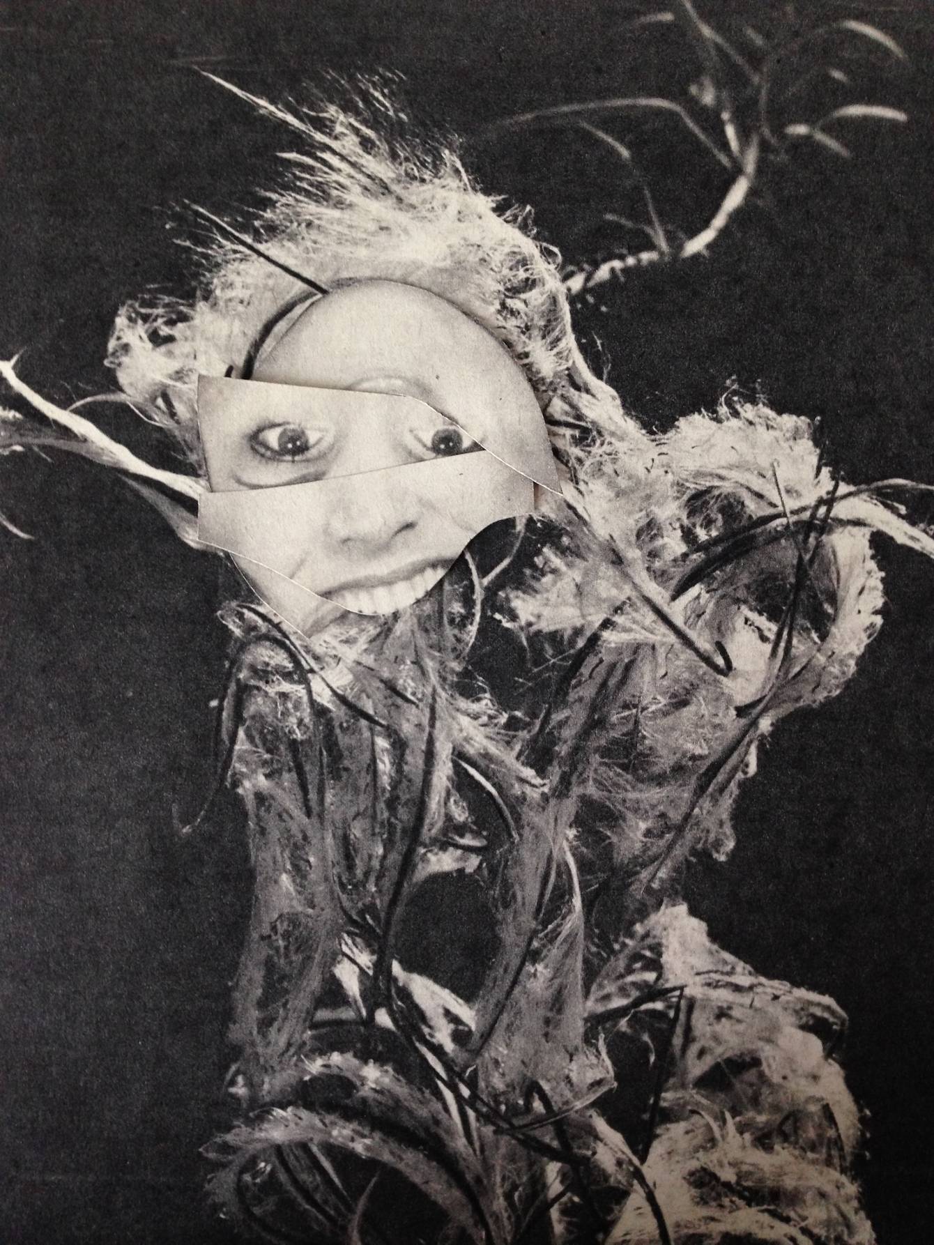 Handmade Collages - But Who Or What Are We Dealing With