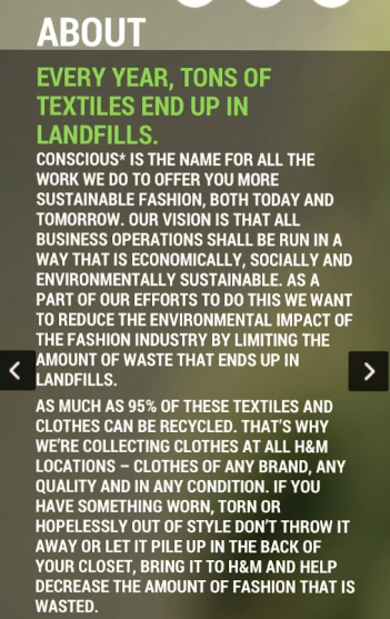 H&M Conscious - Garment Collecting - copyemily