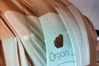 Translating Textiles-Film experience - Marion Lean