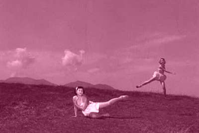 Cromofobia e Cromofilia no Cinema Japonês Chromophobia and Chromophilia ...