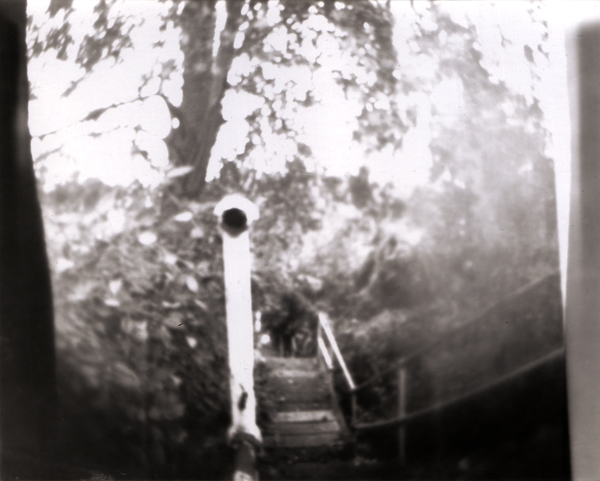 Experimental Photography - Laura Dempsey