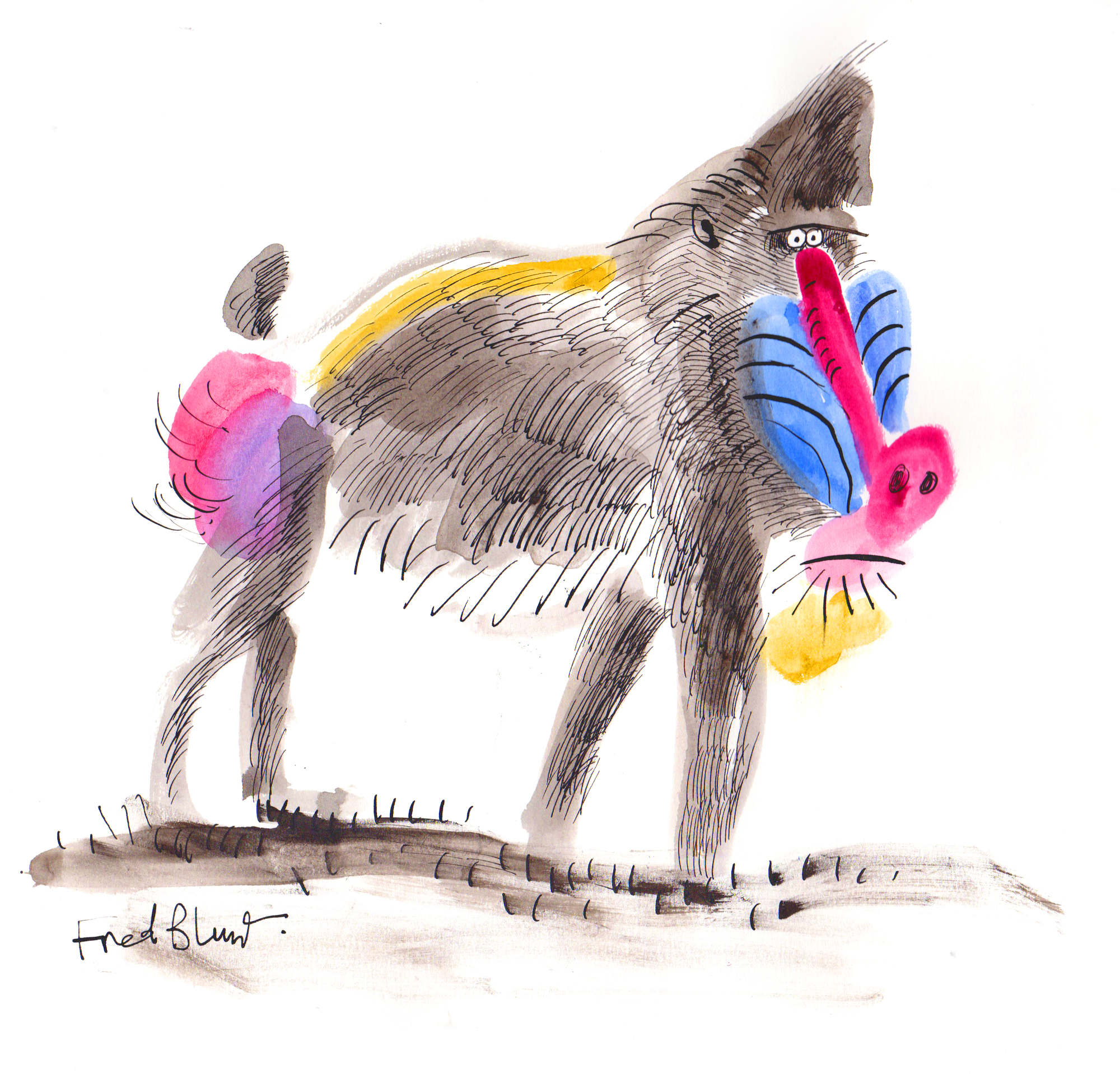 Doodle Gallery - Fred Blunt Illustration