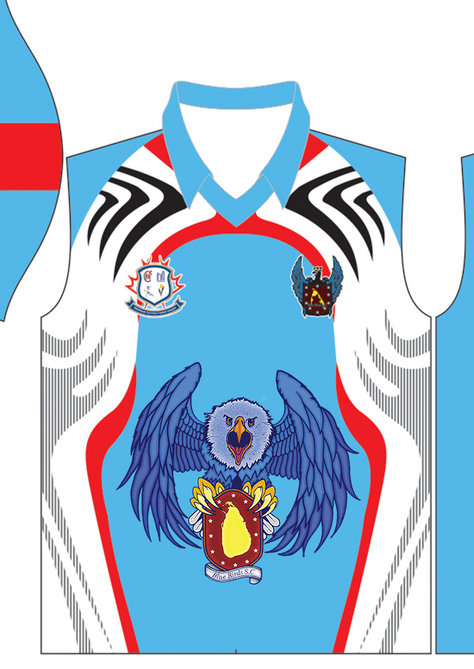 Toronto Bluebirds Logo - Niall Mc Hugh